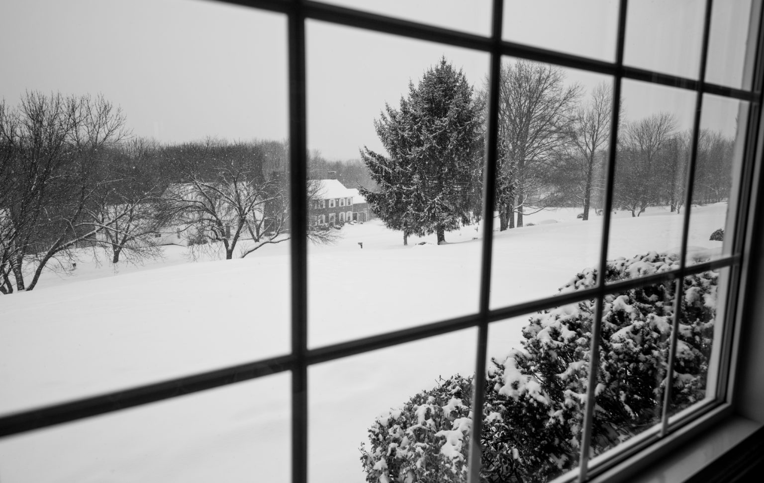 Benefits of Energy Efficient Windows - Randy J Smith Construction